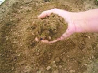 Muldjord – Phlumby